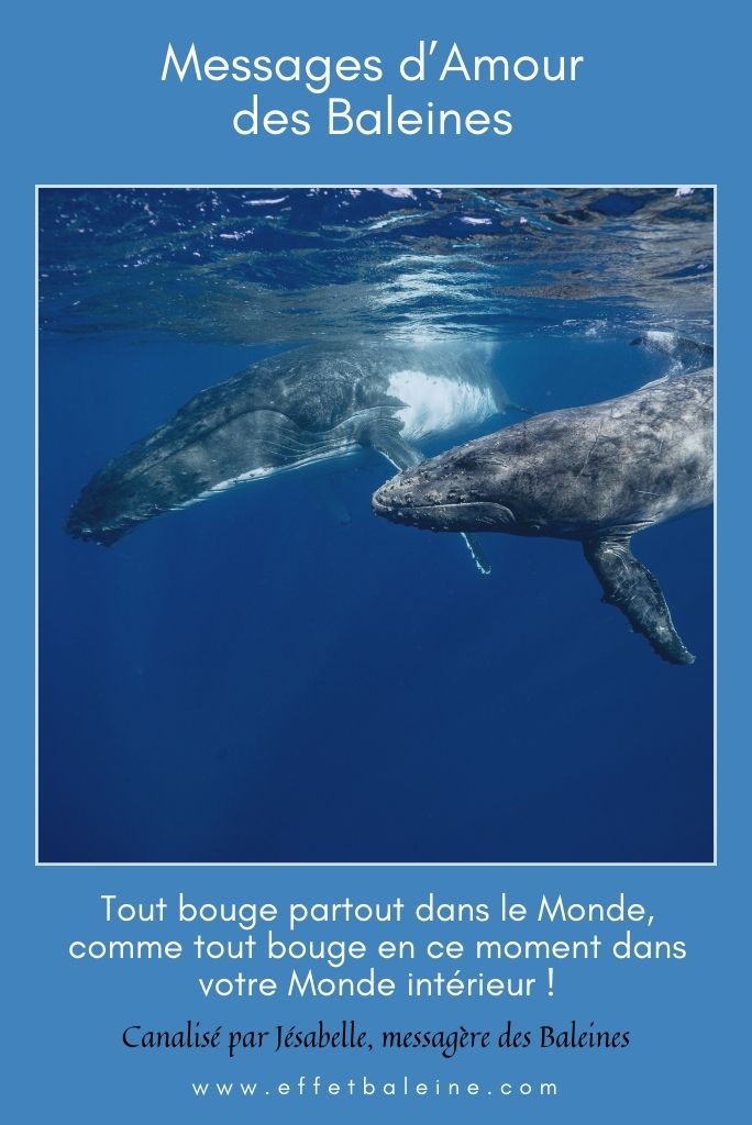 Tout bouge partout dans le Monde, comme tout bouge en ce moment dans votre Monde intérieur ...