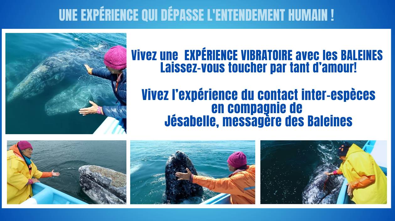 UNE EXPÉRIENCE QUI DÉPASSE L’ENTENDEMENT HUMAIN – Presse Galactique